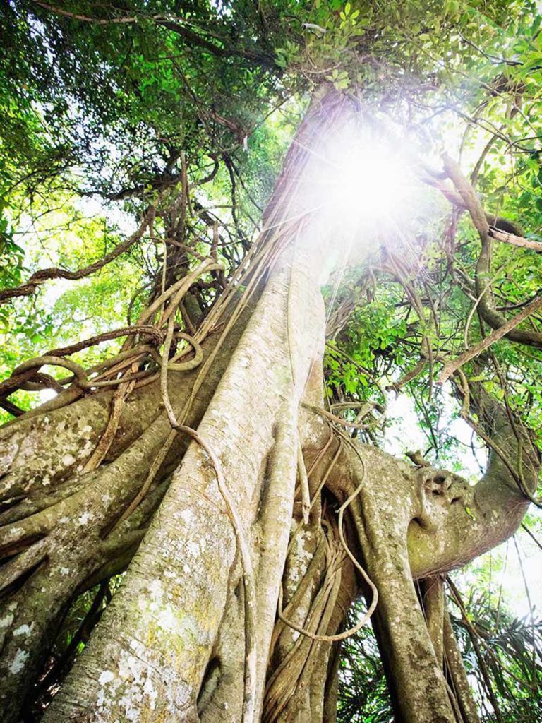 Làng đầu lâu Trunyan Bali- Cách đến, giá vé, kinh nghiệm tham quan 2026 ...